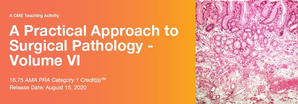 2020 A Practical Approach To Surgical Pathology – Volume VI (CME VIDEOS ...